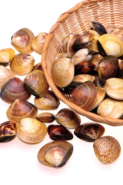 Japanese clams Stock Photos, Royalty Free Japanese clams Images ...