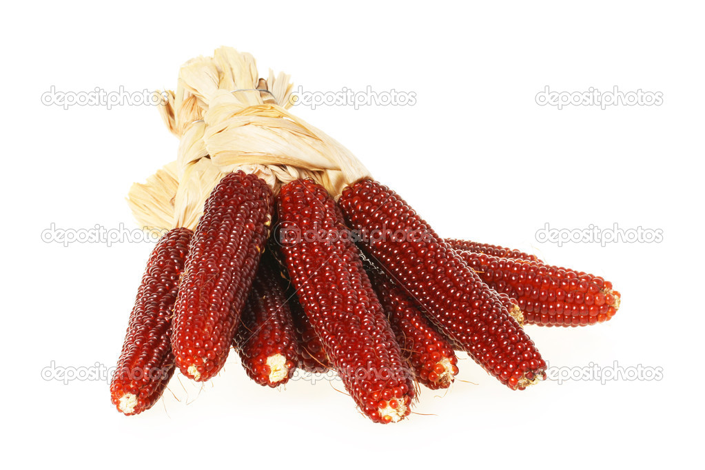 Red corn Stock Photo by ©jianghongyan 30293075
