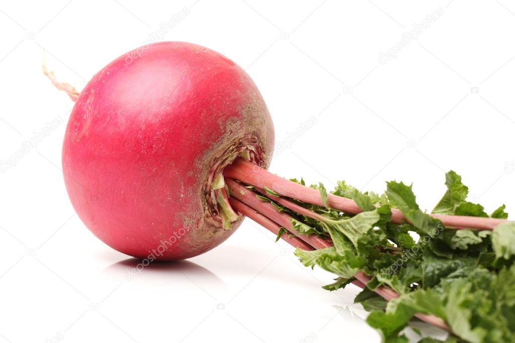 Red radish. — Stock Photo © jianghongyan #32911087