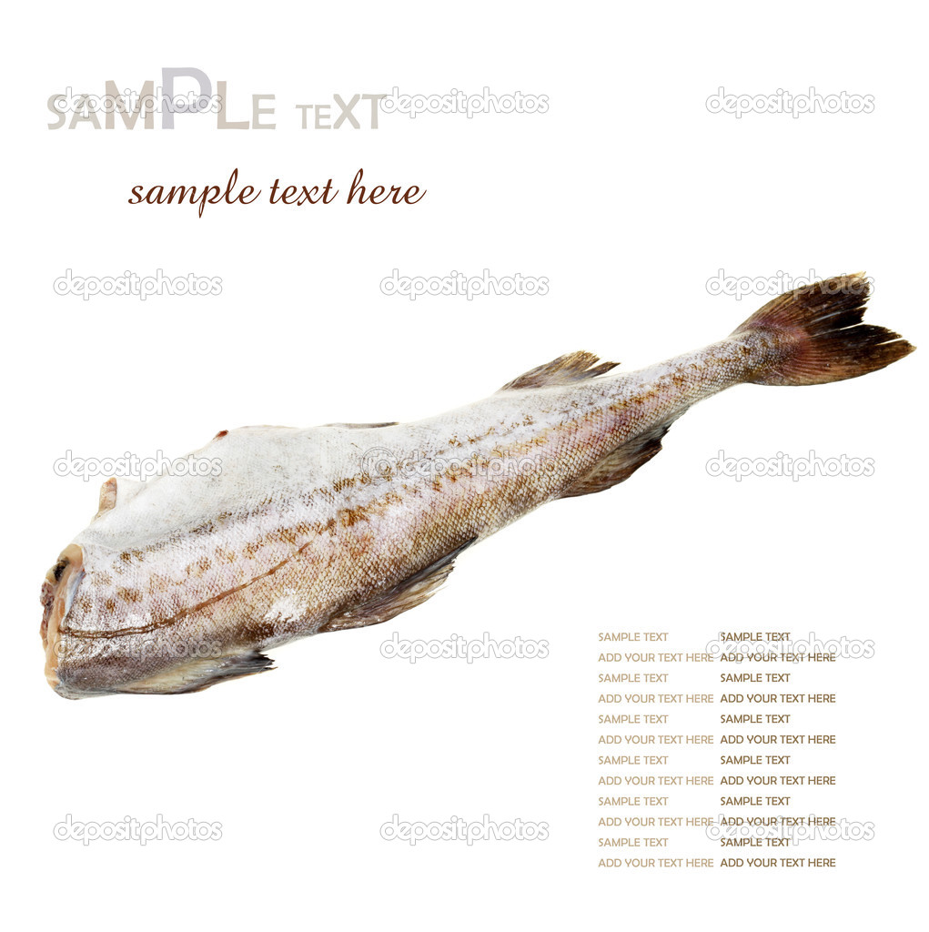 Carcass of cod fish Stock Photo by ©jianghongyan 35585315