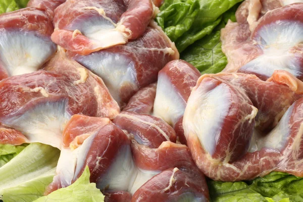 ᐈ Gizzard stock images, Royalty Free gizzard photos | download on ...