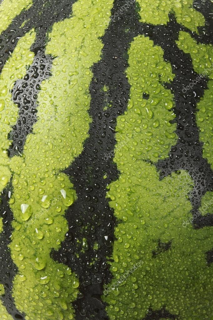 Watermelon Skin Background