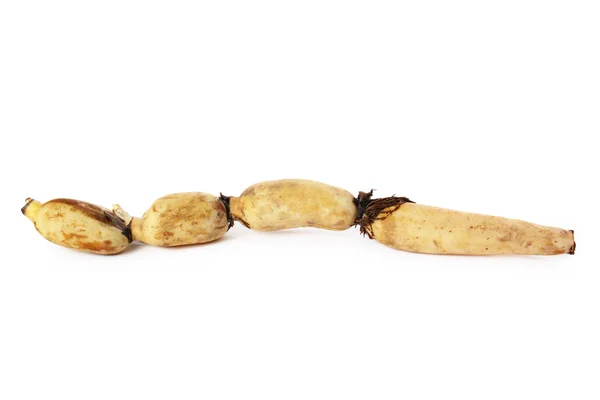 White lotus with roots isolated Stock Photos, Royalty Free White lotus ...