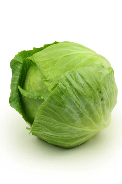 Single green cabbage with dew Stock Photo by ©boroda 6625698