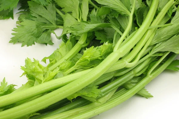 29,504,381 imágenes de Apio libres de derechos | Depositphotos