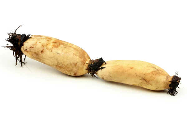 White lotus with roots isolated Stock Photos, Royalty Free White lotus ...