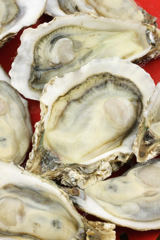 Alive oysters Stock Photo by ©jianghongyan 45003519