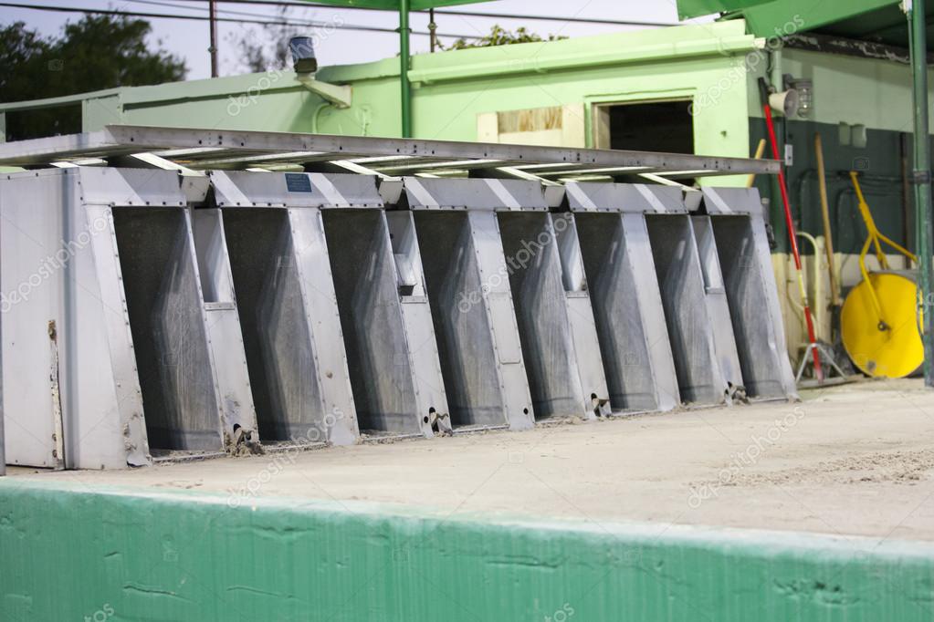 Greyhound race starting box Stock Photo by ©rusuangela24 14370381