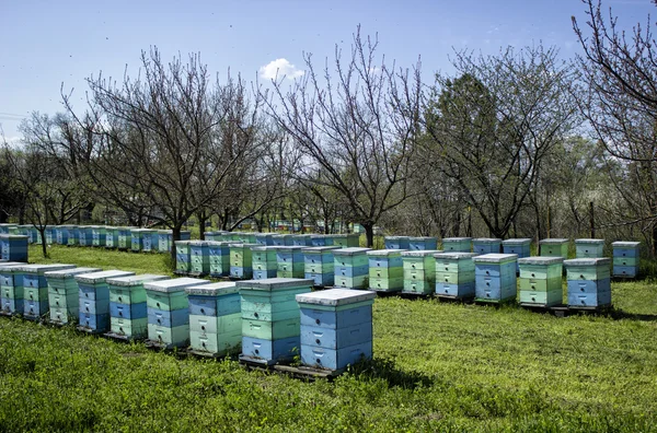 Romania bee hives Stock Photos, Royalty Free Romania bee hives Images ...