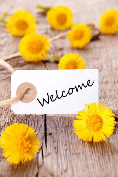 ᐈ Welcome sign stock images, Royalty Free welcome sign photos ...