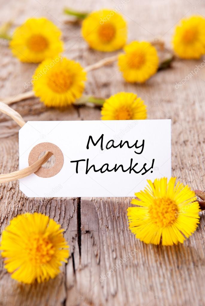 Label with Many Thanks — Stock Photo © Nelosa #45911805