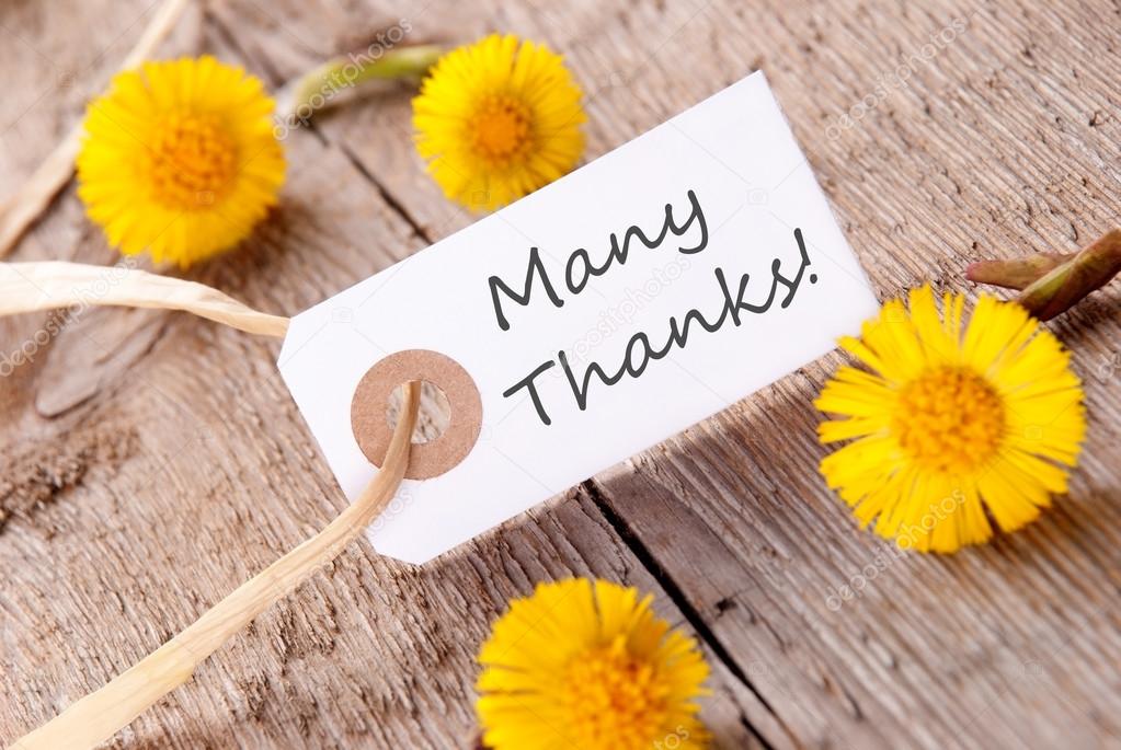 Banner with Many Thanks — Stock Photo © Nelosa #45911851