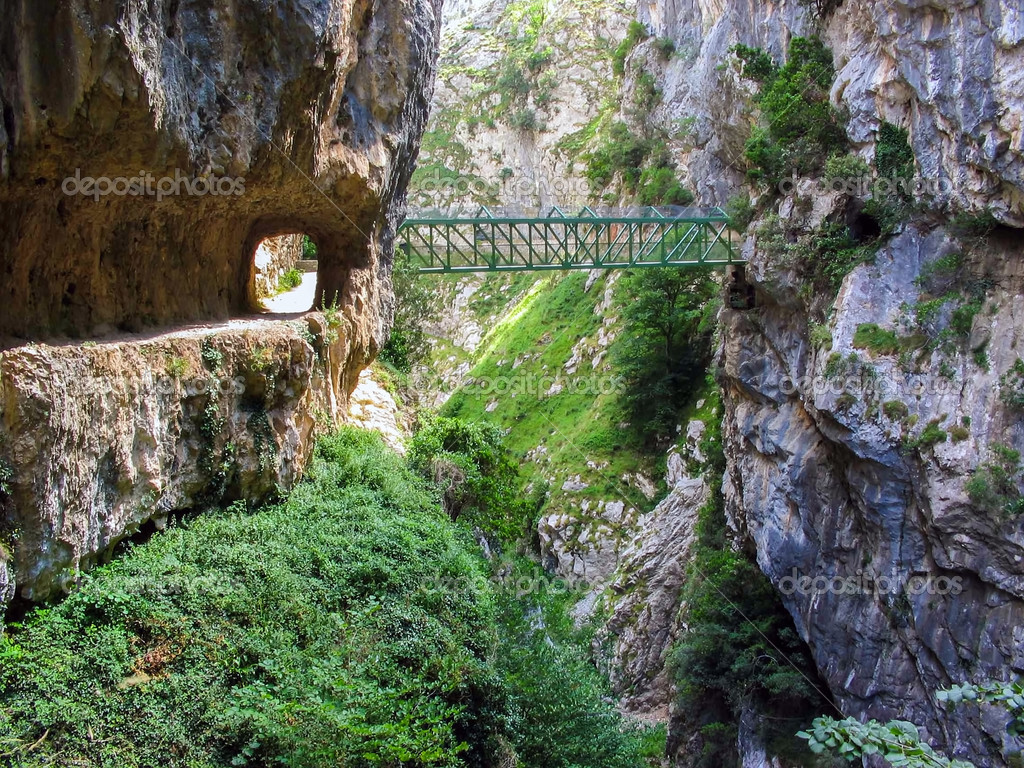 Dentro del cañón del Río Cares: fotografía de stock © cunaplus ...