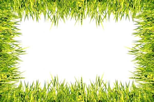 Tall grass border or frame Stock Photo by ©gvictoria 1242733