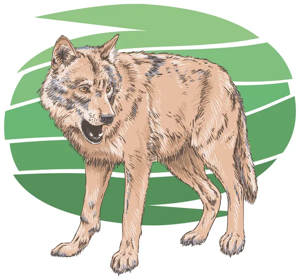 Kodiak Bear Stock Vector Image by ©zizar #33970049