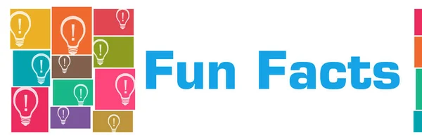 Fun Facts Text Written Dark Background Green Circular Element — Stock ...