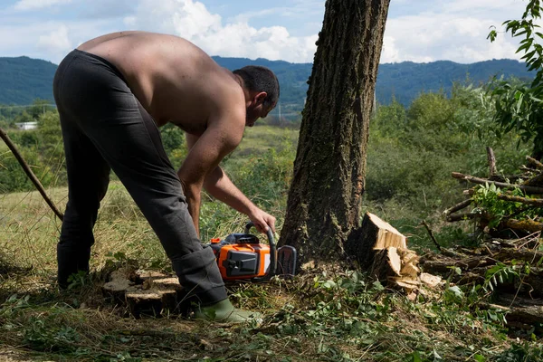 Man logger worker cutting firewood timber acacia tree in the forest ...