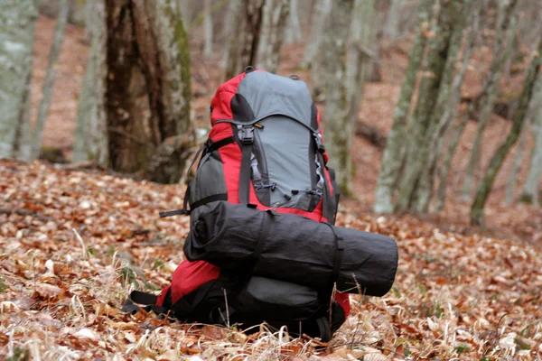 Hiking outdoors — Stock Photo © listercz #12261704