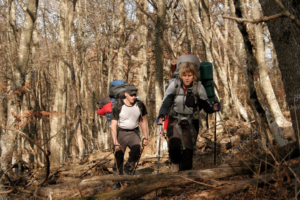 Walk in the autumn woods. — Stock Photo © vetal1983 #15415043