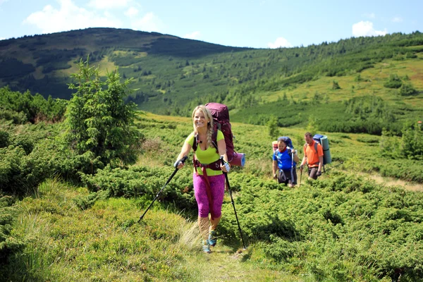 Summer hiking in the mountains. - Stock Image - Everypixel