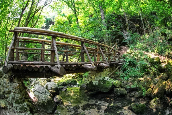 Fantasy forest bridge Stock Photos, Royalty Free Fantasy forest bridge ...