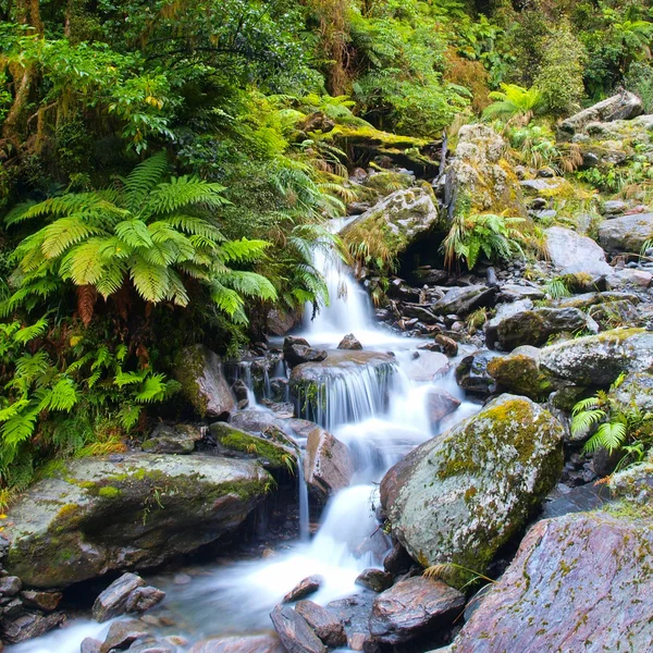 Waterfall in lush rain forest - Stock Image - Everypixel