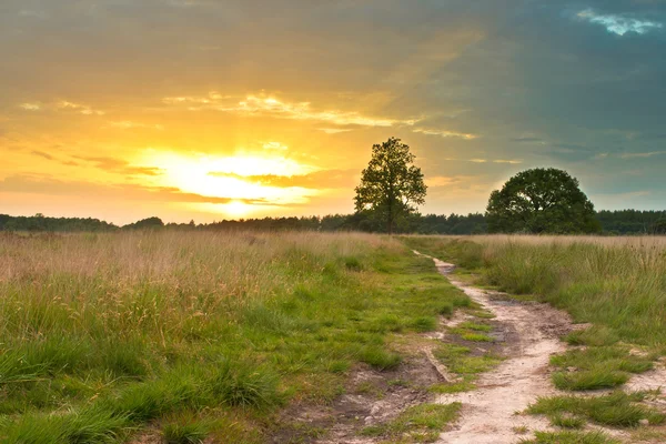 Trail sunset Stock Photos, Royalty Free Trail sunset Images | Depositphotos