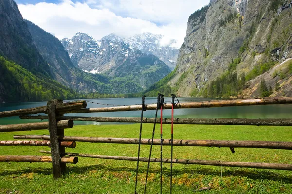 Walking sticks Stock Photos & Royalty-Free Images | Depositphotos