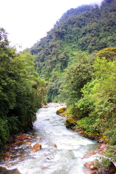 Belen river peru Stock Photos, Royalty Free Belen river peru Images ...