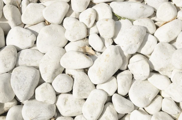 White sea stones Stock Photo by ©Krivosheevv 27020781