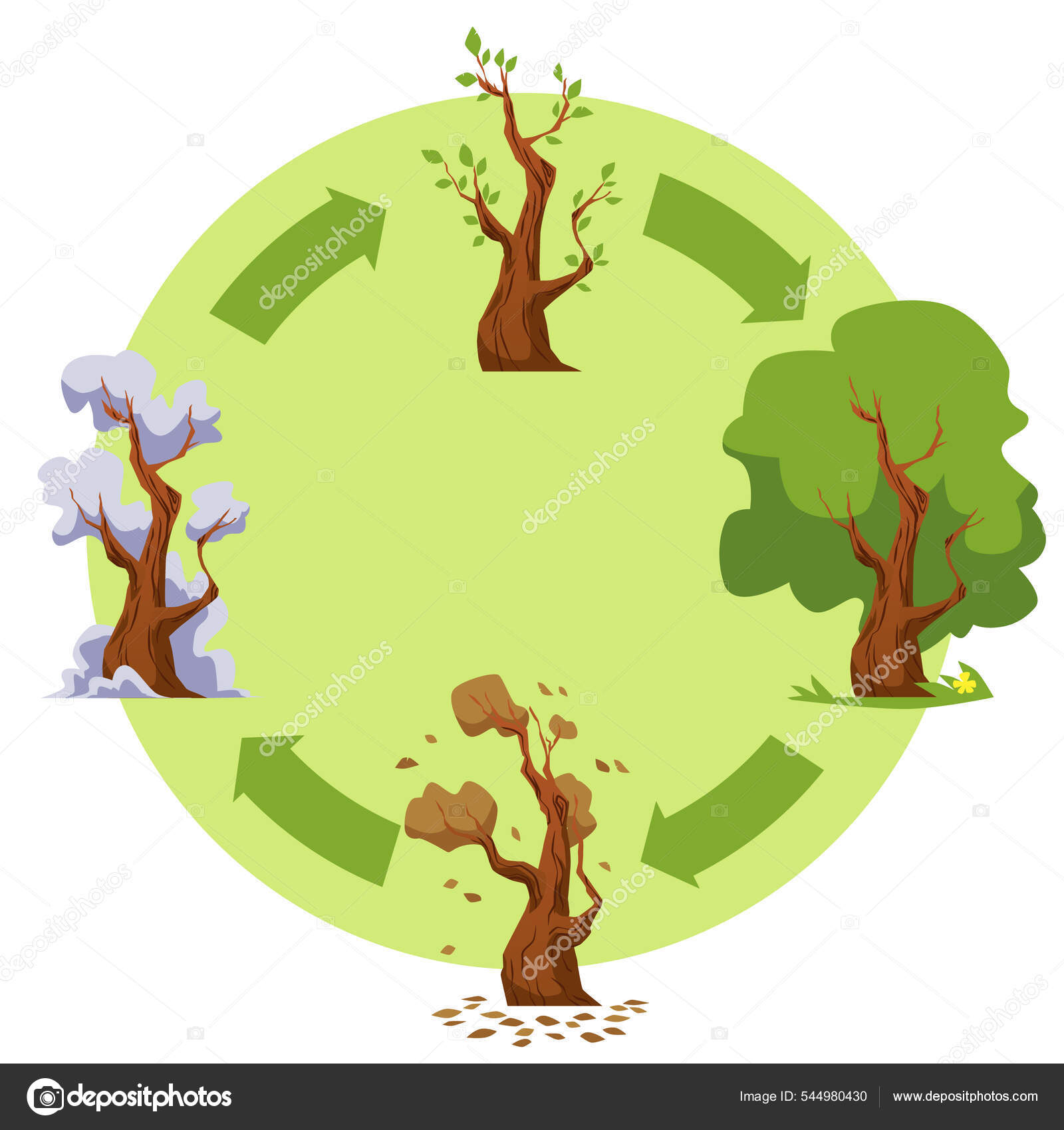 Ciclo de árbol de estaciones con ilustración de vectores de dibujos ...
