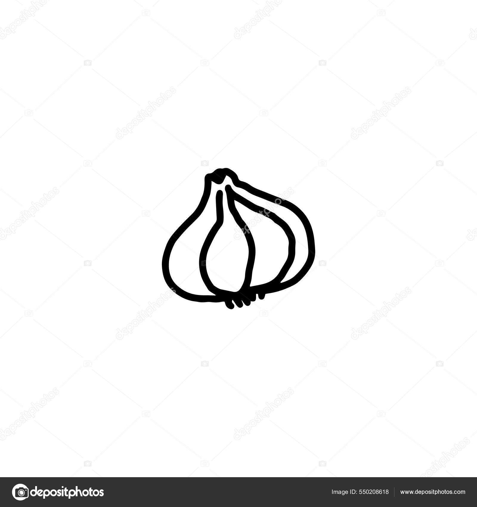 Cebolla o ajo trazo contorno dibujado a mano doodle vector ilustración ...