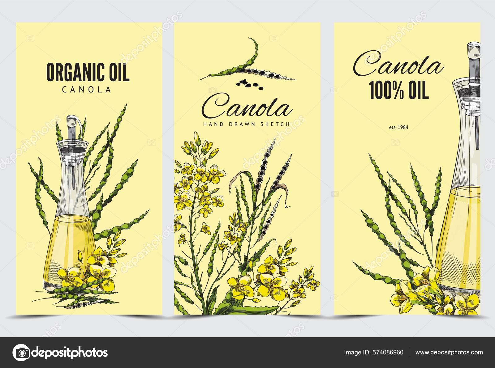 Canola Oil Labels Vintage Style Hand Drawn Vector Illustration Labels ...