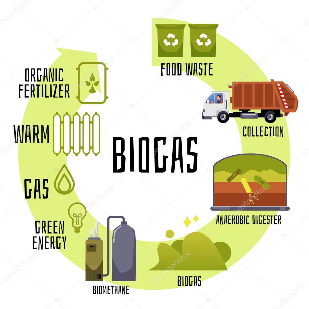 Biogas production and distribution cycle, flat vector illustration isolated on white background ...