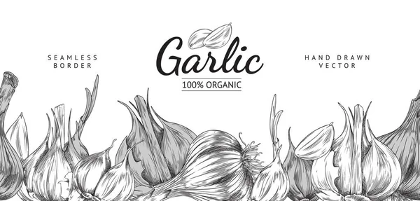 Hand Drawn Seamless Border Mustard Sketch Style Vector Illustration ...