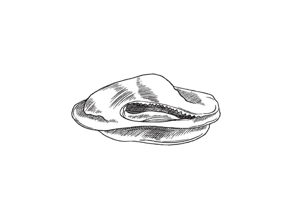 Shell oyster drawing imágenes de stock de arte vectorial | Depositphotos