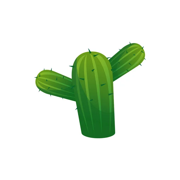 Cactus por los aviones del listón imágenes de stock de arte vectorial ...