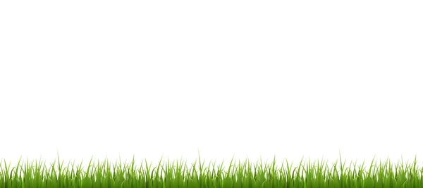 Seamless Green Grass Border Design Flat Style Vertical Vector ...