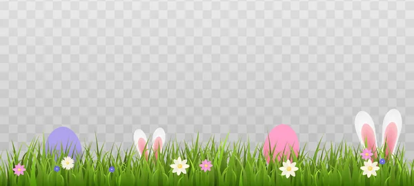 Seamless Easter Grass Border Lawn Realistic Vector Illustration White ...