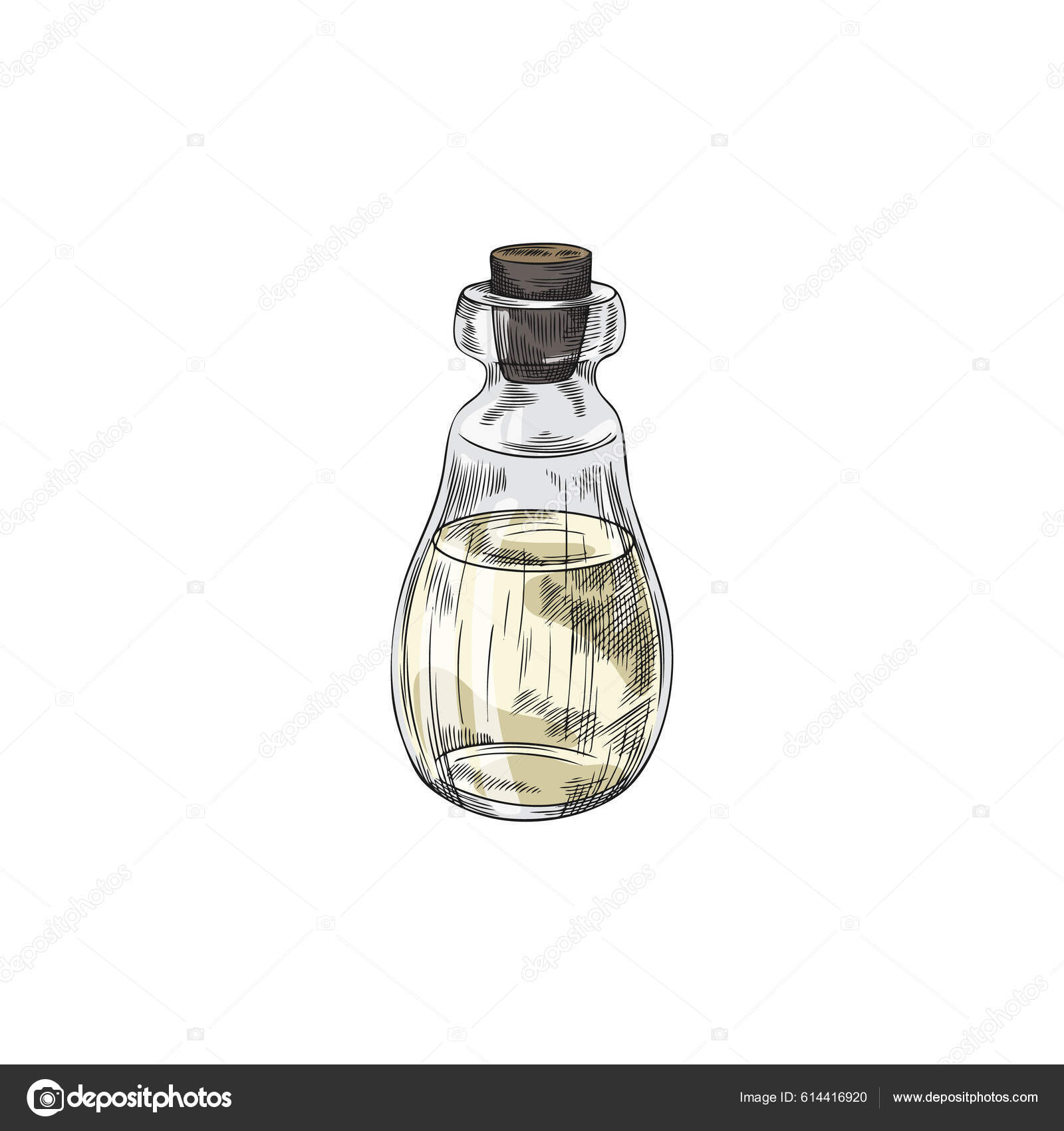 Aromatic Cooking Oil Bottle Hand Drawn Engraving Style Vector ...