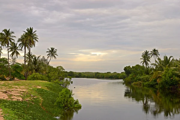 Backwaters of cochin Stock Photo by ©STYLEPICS 12682349