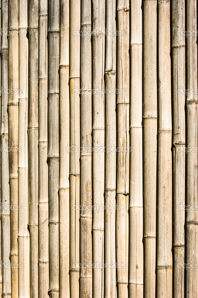 Bamboo Stock Photo by ©foottoo 19085007