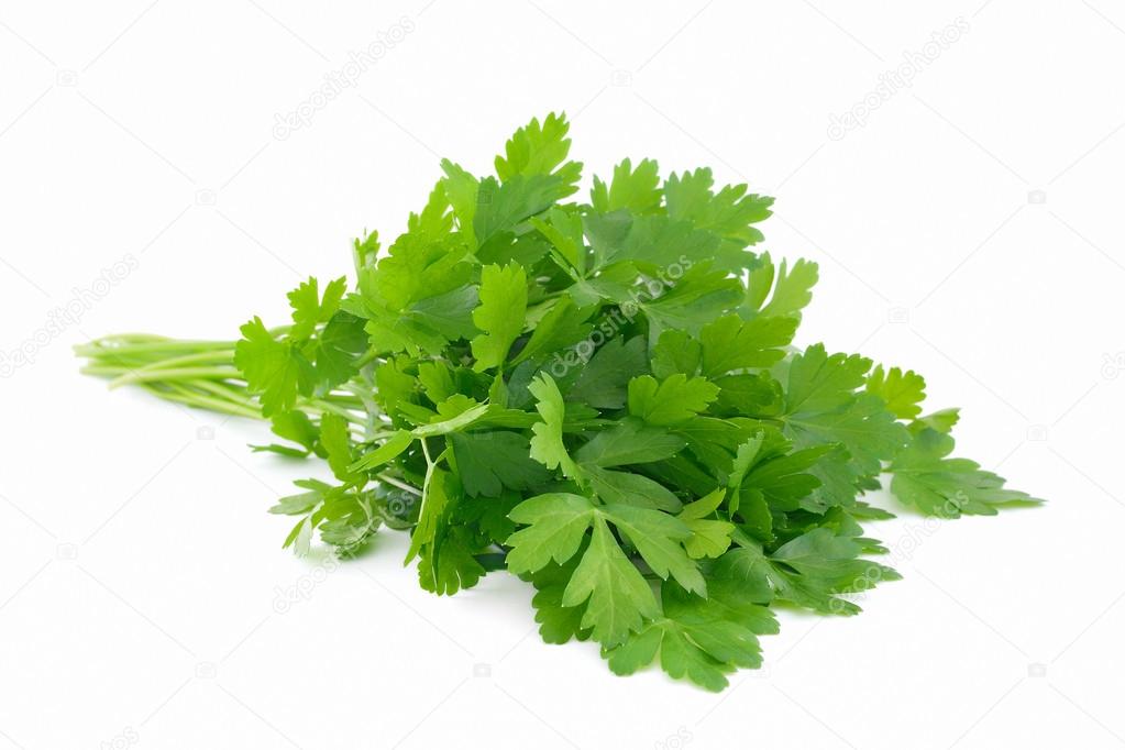 Parsley Stock Photo by ©Mario75 29162355