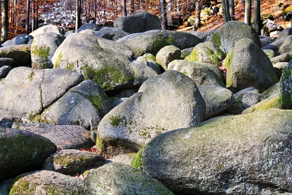 Forest rocks Stock Photos, Royalty Free Forest rocks Images | Depositphotos