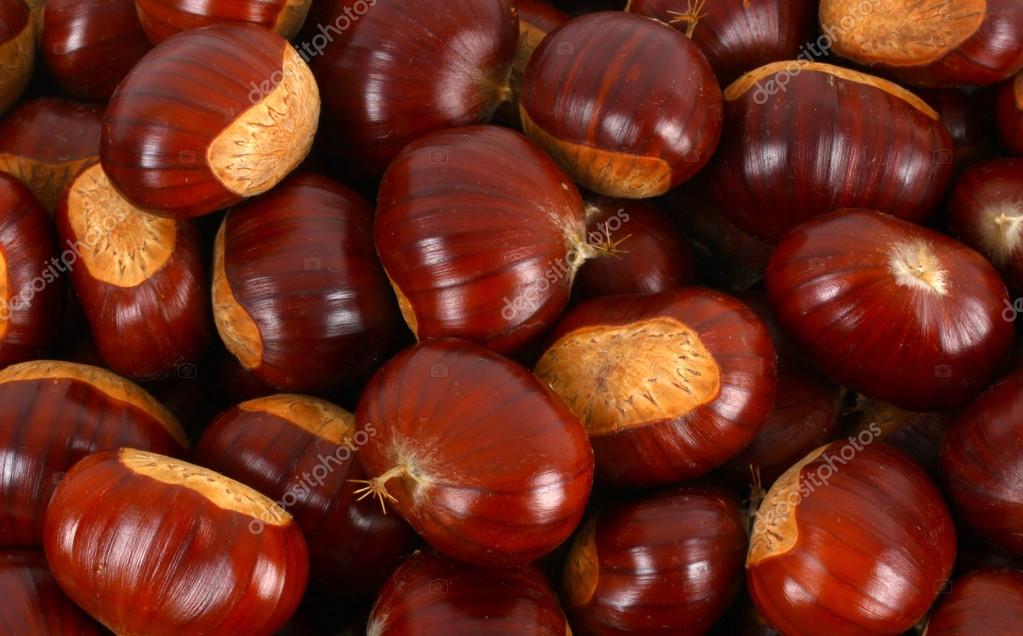 Castanhas — Fotografias de Stock © AntonioGravante #22137813