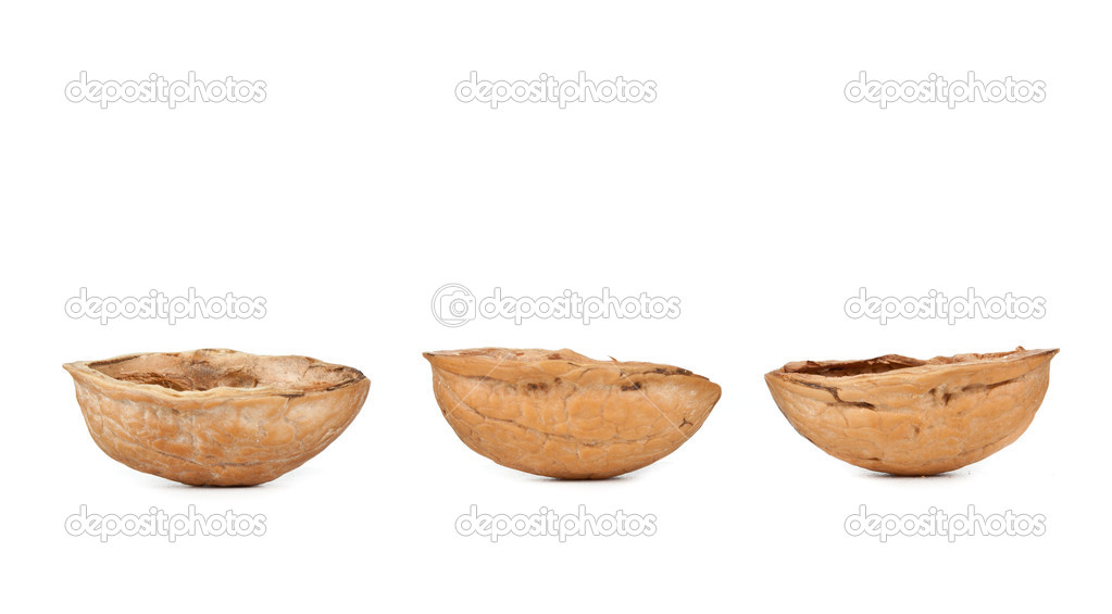 Three walnut shells Stock Photo by ©AntonioGravante 23326430