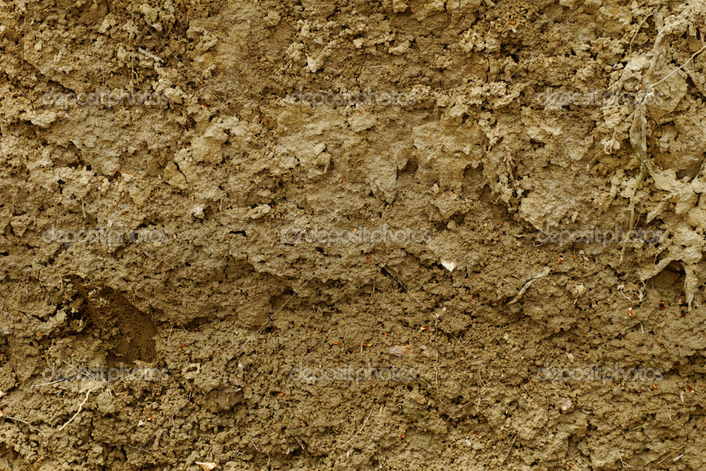 Textura de barro — Foto de stock © NagyDodo #35364593