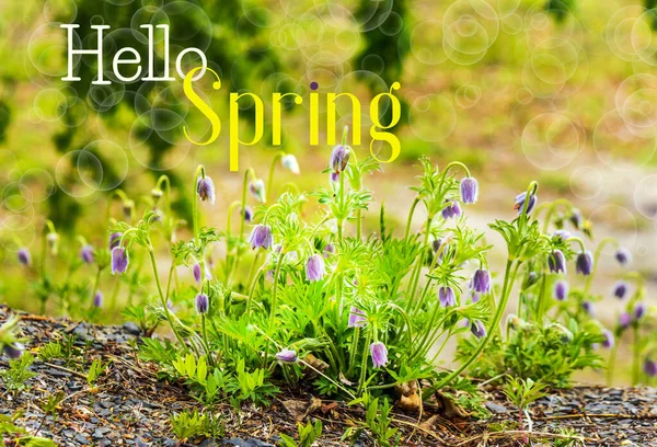 Happy friday spring Stock Photos, Royalty Free Happy friday spring ...