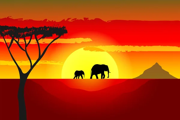African sunset Vector Art Stock Images | Depositphotos