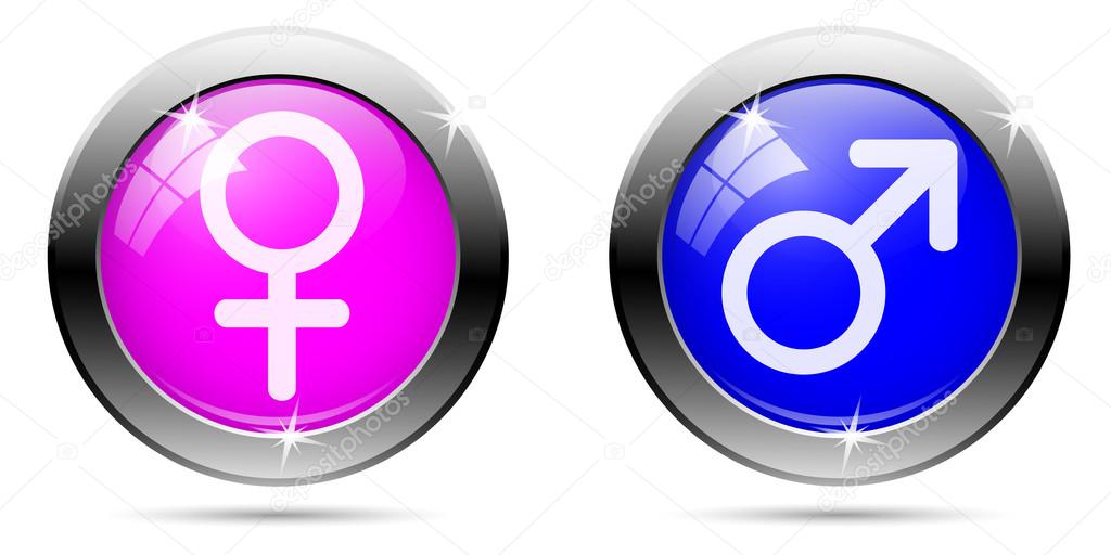 Gender buttons set Stock Vector by ©valentint 23086248
